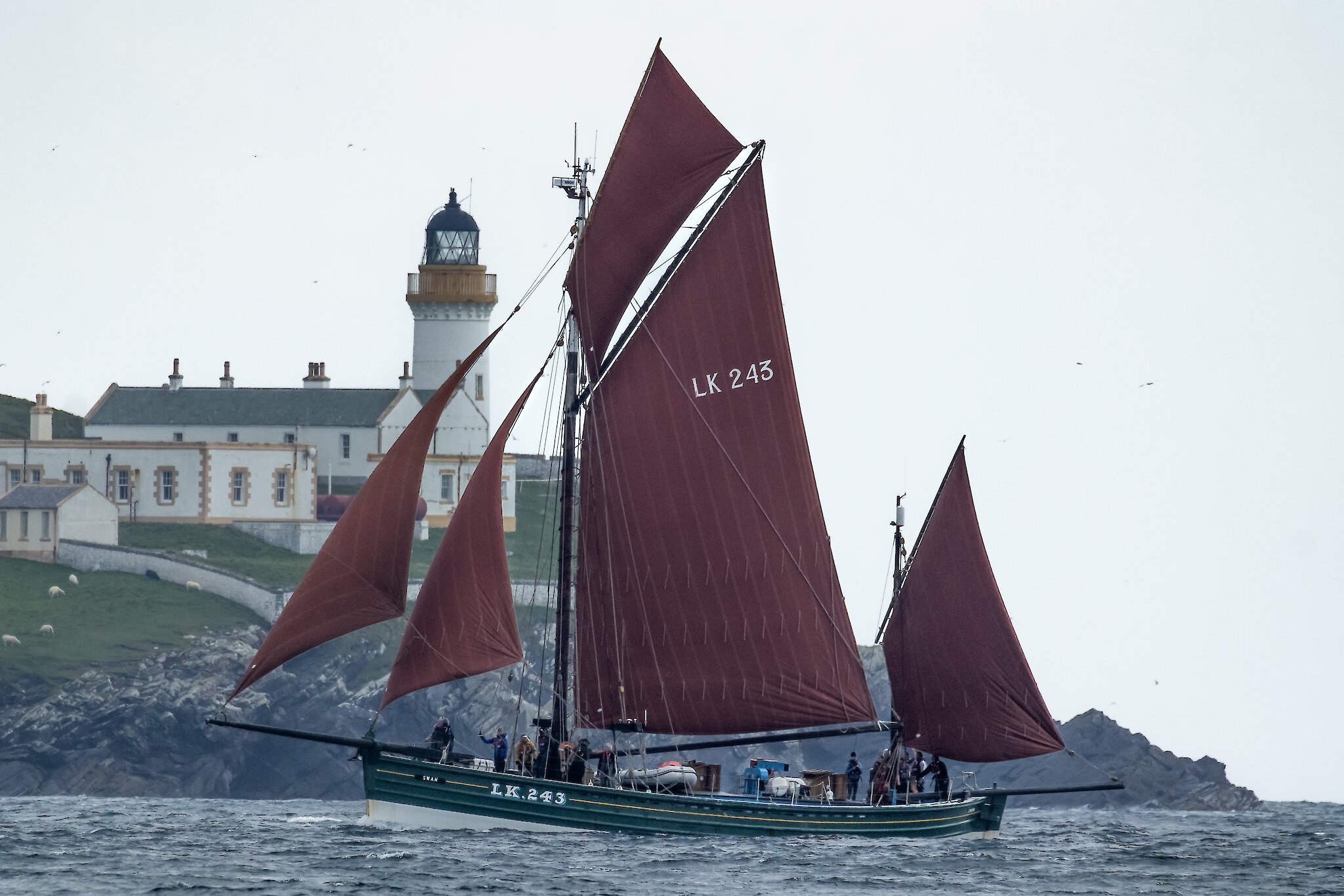 Hands-on Sailing Trips aboard the Swan, LK243 | Shetland Cruise