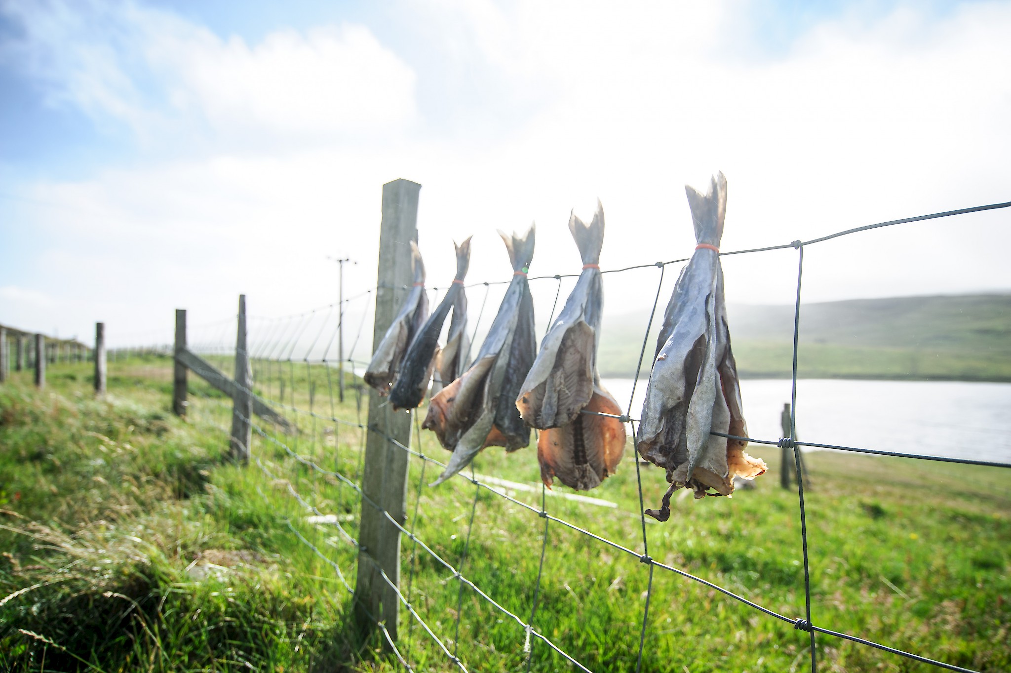 7 classic dishes Shetland dishes | Shetland.org