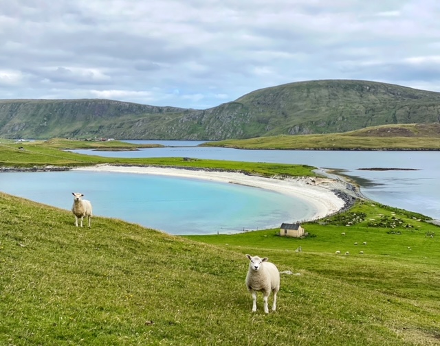 Five things to love about Shetland | Shetland.org