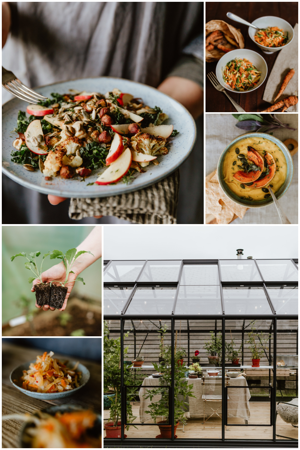 Recipes from "My Shetland Garden" | Shetland.org