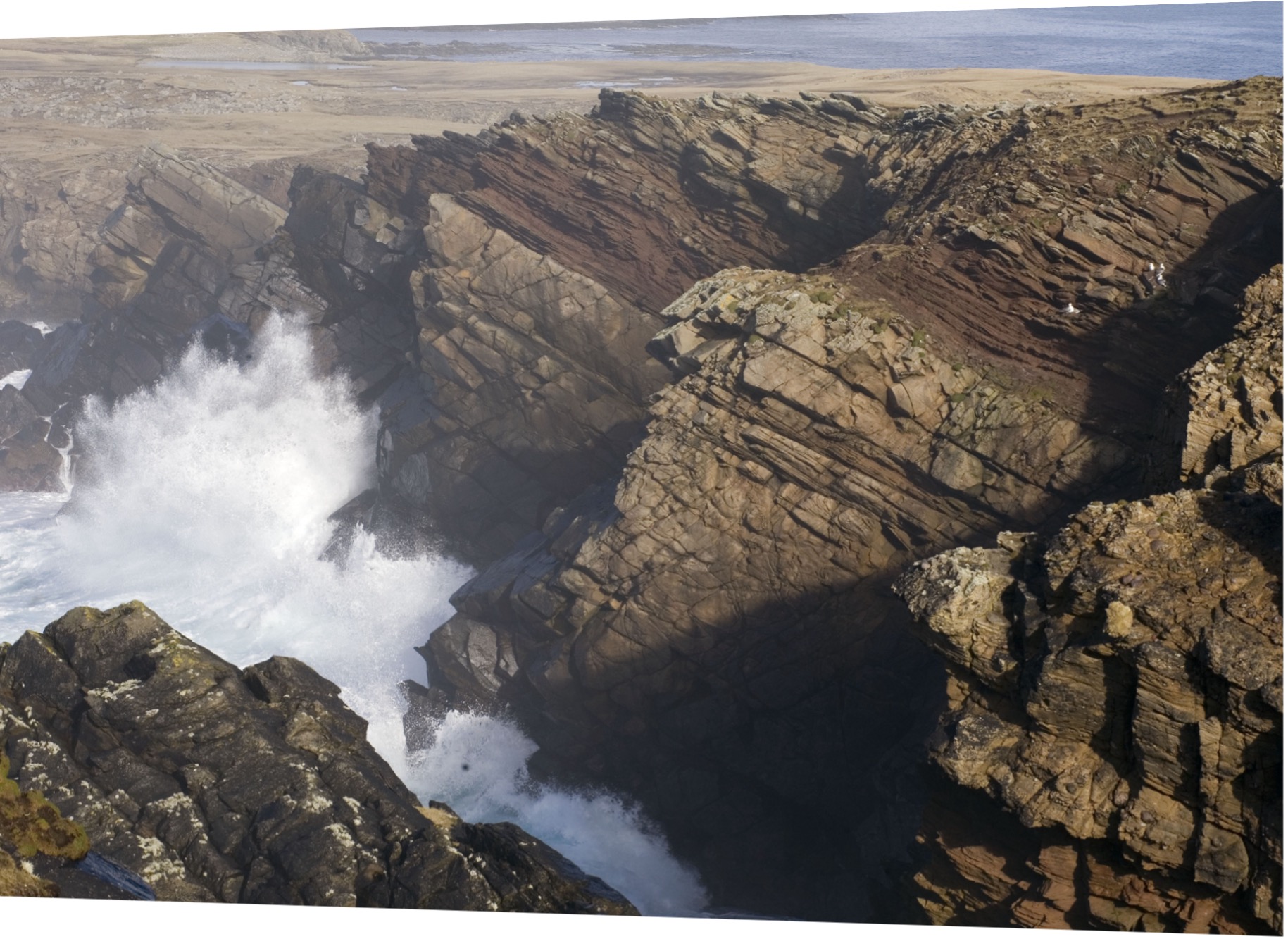 The Devonian Period | Shetland.org