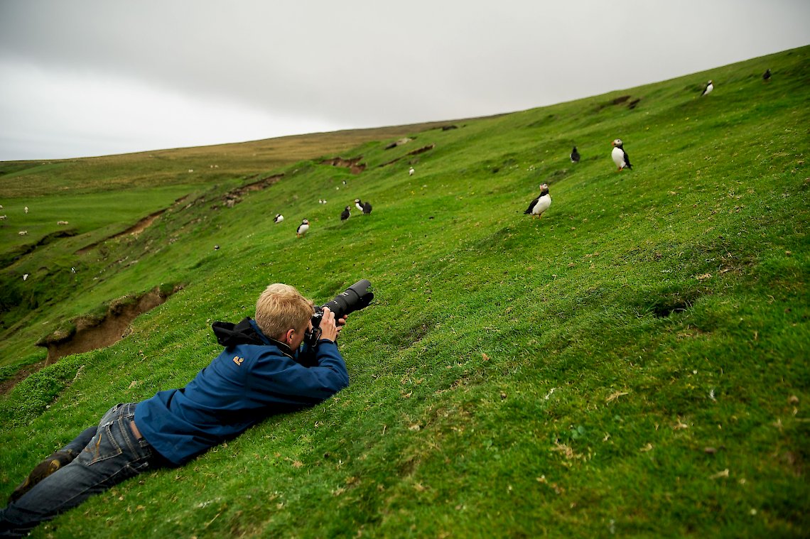 Birds, birding, birdiness and twitching | Shetland.org